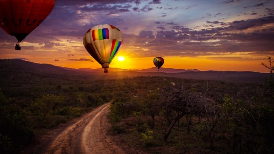 Administation | RISE